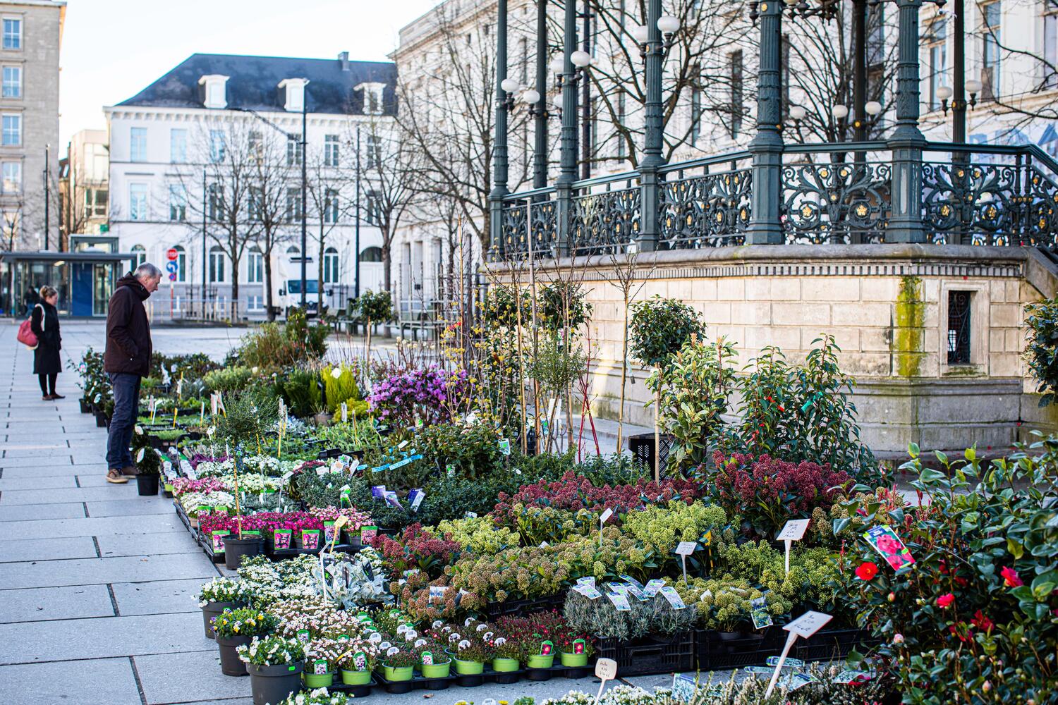 Sunday stroll on the Kouter | Visit Gent