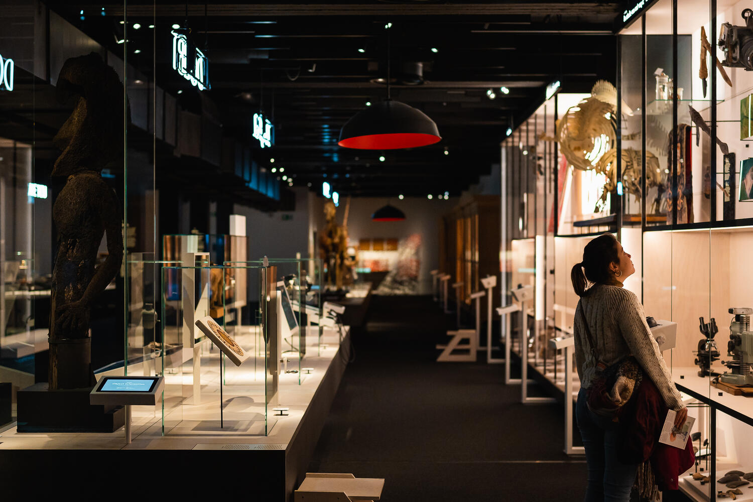 Ghent University Museum (GUM) | Visit Gent